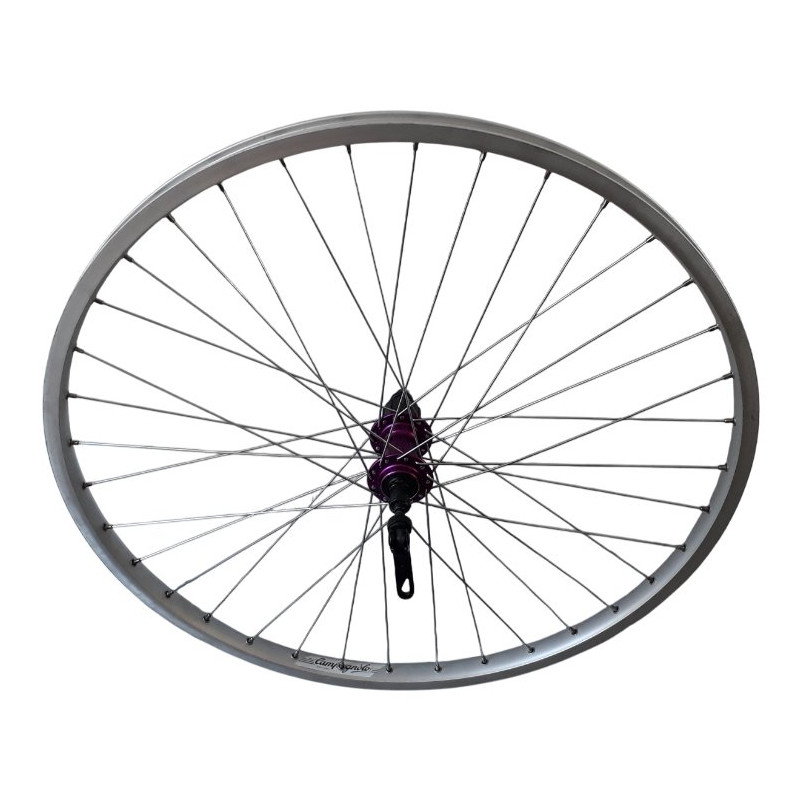 26 inch bike wheel Campagnolo Everest at the best price